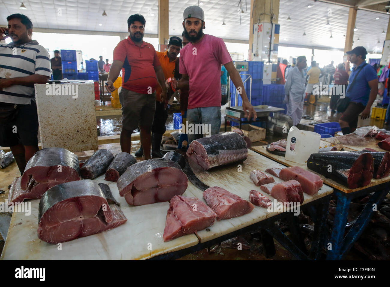 Central fish market in Colombo, Sri Lanka Stock Photo - Alamy