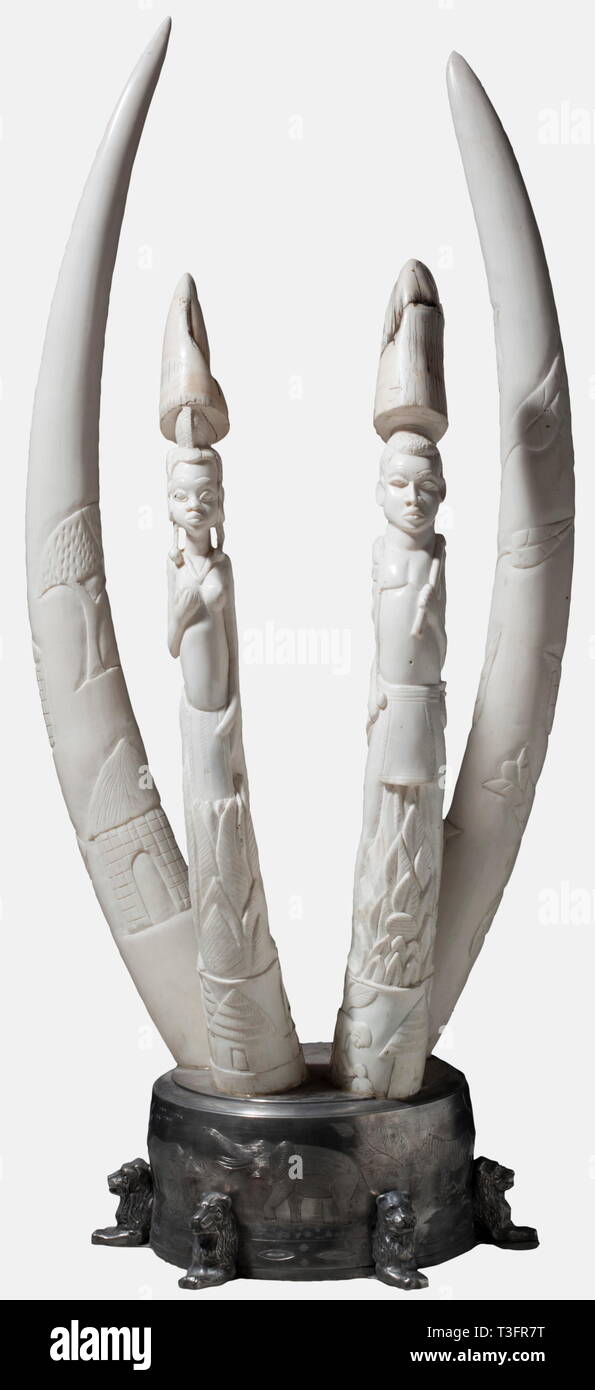 Two pairs tusks hi-res stock photography and images - Alamy