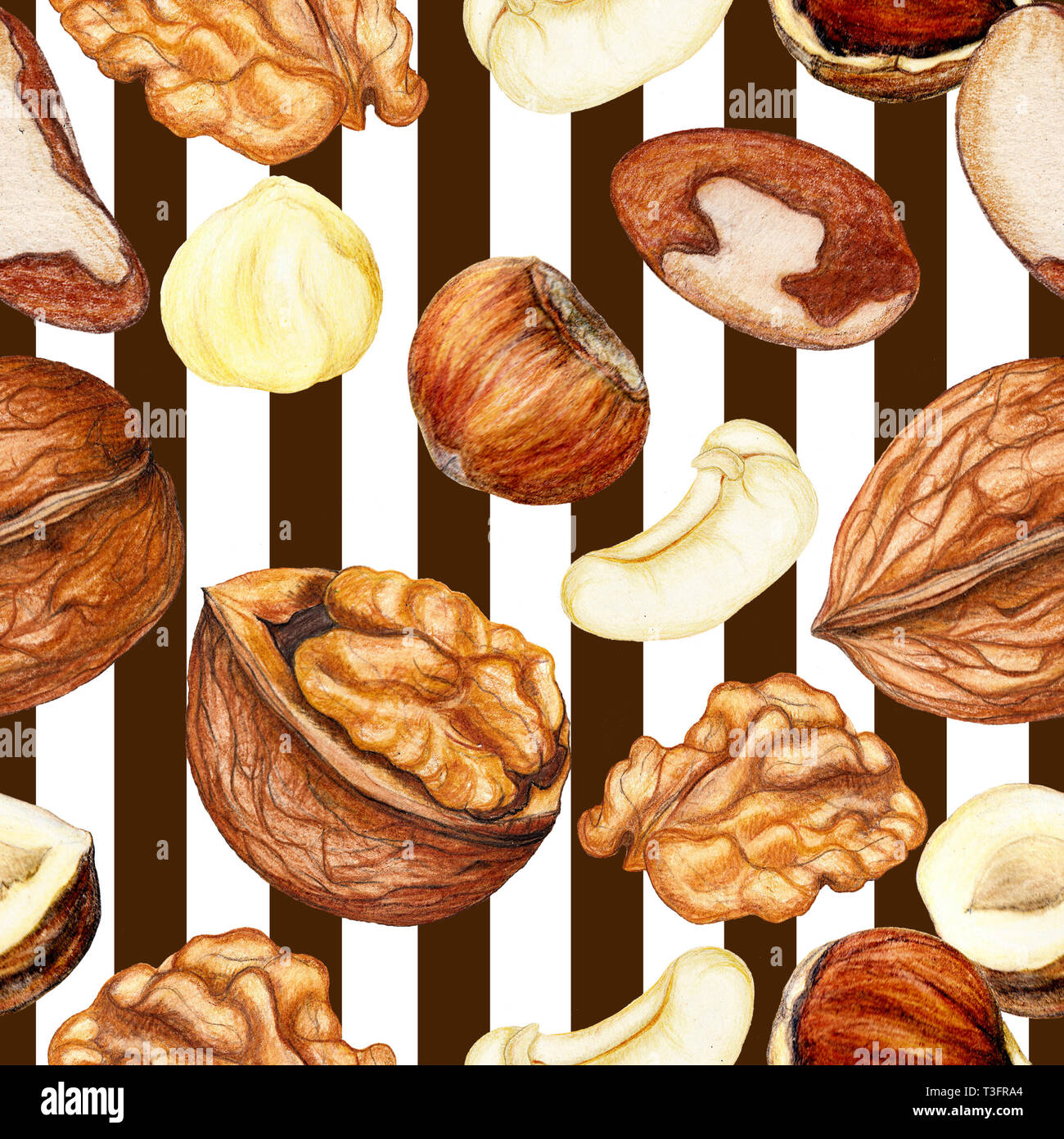 Hand drawn sketch cashew design hi-res stock photography and images - Alamy