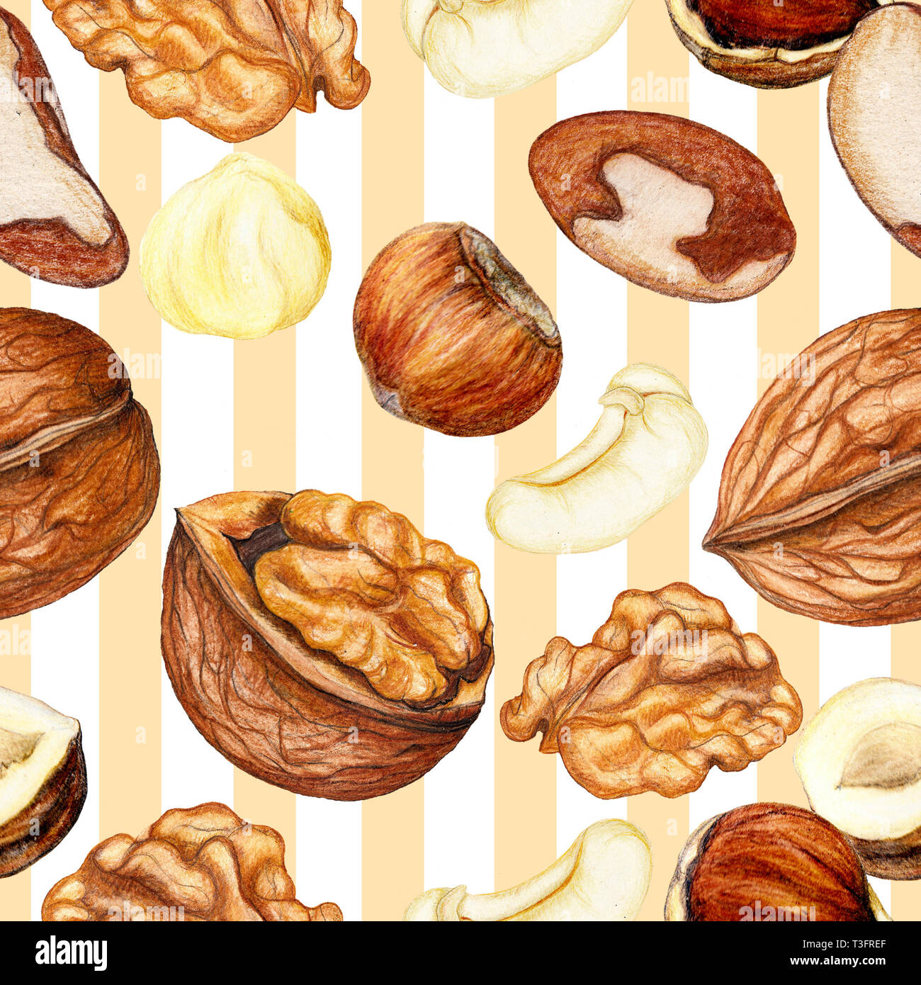 Hand drawn sketch cashew design hi-res stock photography and images - Alamy