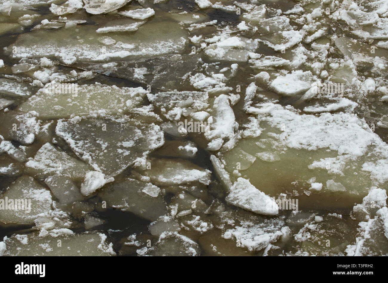 Broken ice and icy sludge in brownish river water in the thaw Stock ...
