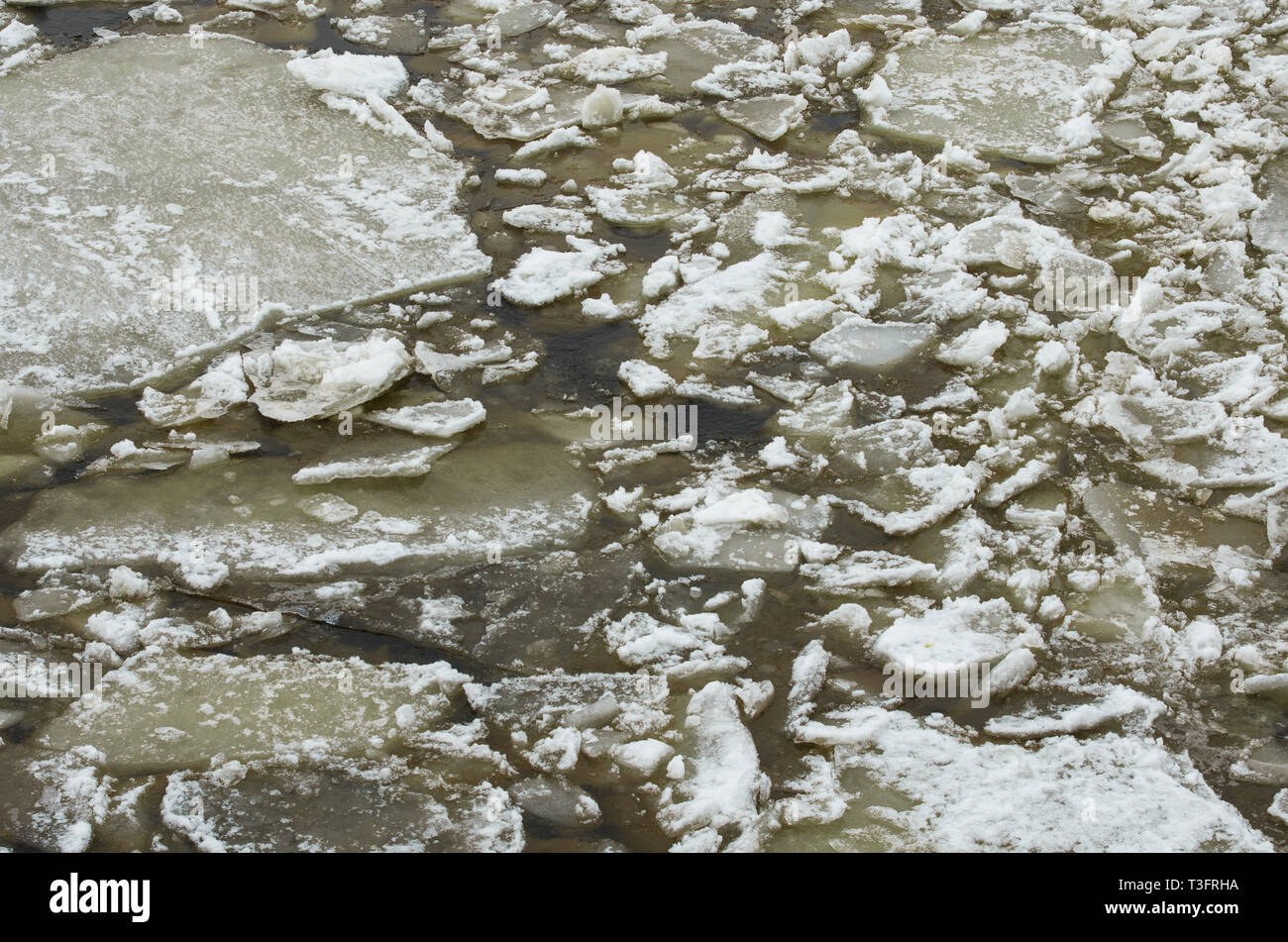 Broken ice and icy sludge in brownish river water in the thaw Stock ...