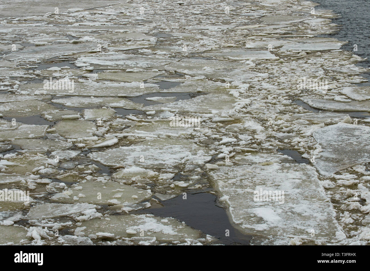 Floating cracked ice and sludge on river Stock Photo - Alamy