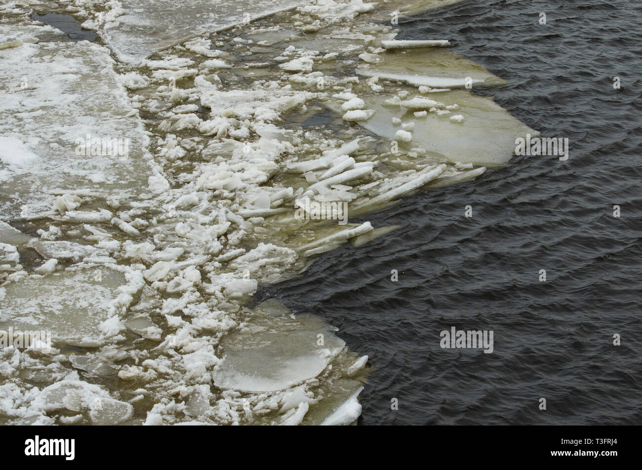 Edge of the ice field and the sludge on the river Stock Photo - Alamy