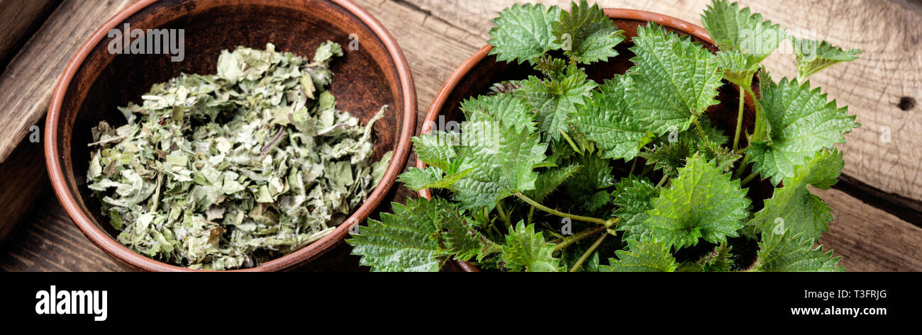 Fresh stinging nettle leaves on wooden table.Urtica dioica, often ...