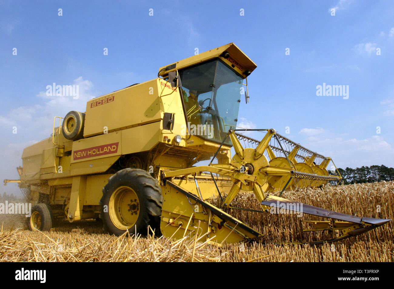 A large New Holland combine harvester cutting straw on a farm in ...