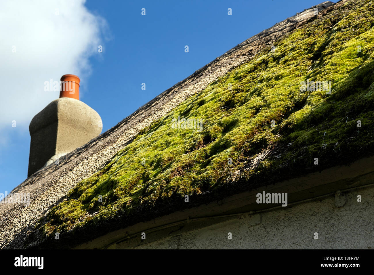 Devon Cob and thatch cottage,Architecture, Beauty, Building Exterior ...