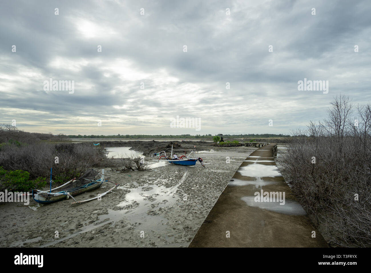 Mud puddle fish hi-res stock photography and images - Alamy