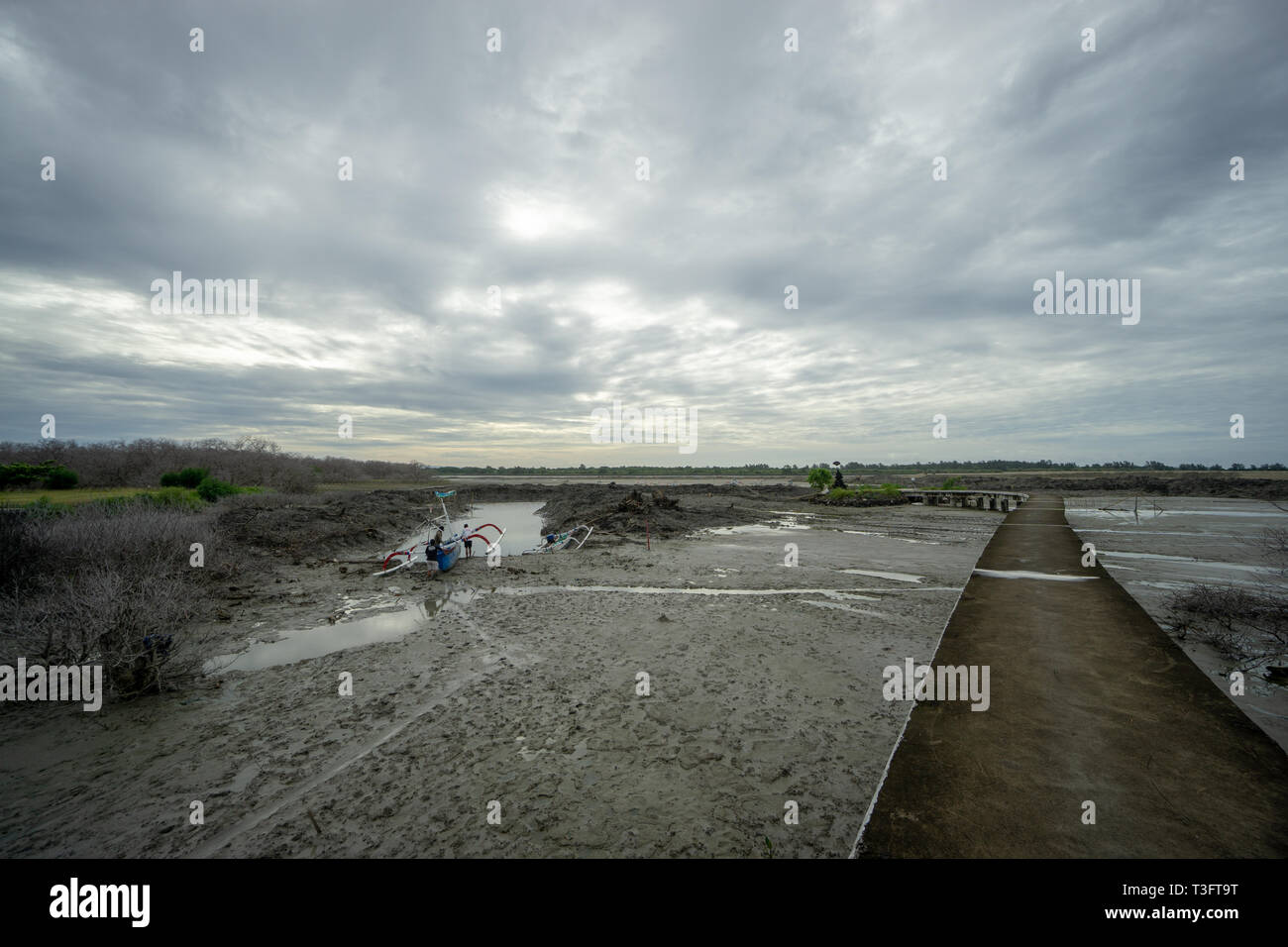 Mud puddle fish hi-res stock photography and images - Alamy