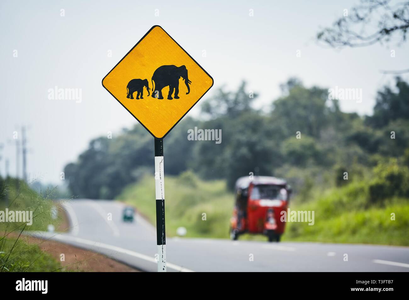 Elephant road sign hi-res stock photography and images - Alamy
