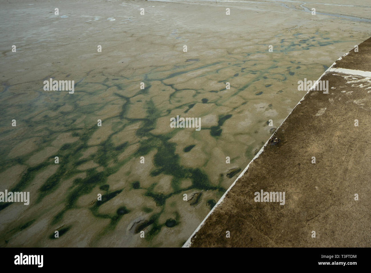 Water or mud condition during the low tidal. It become a green water ...