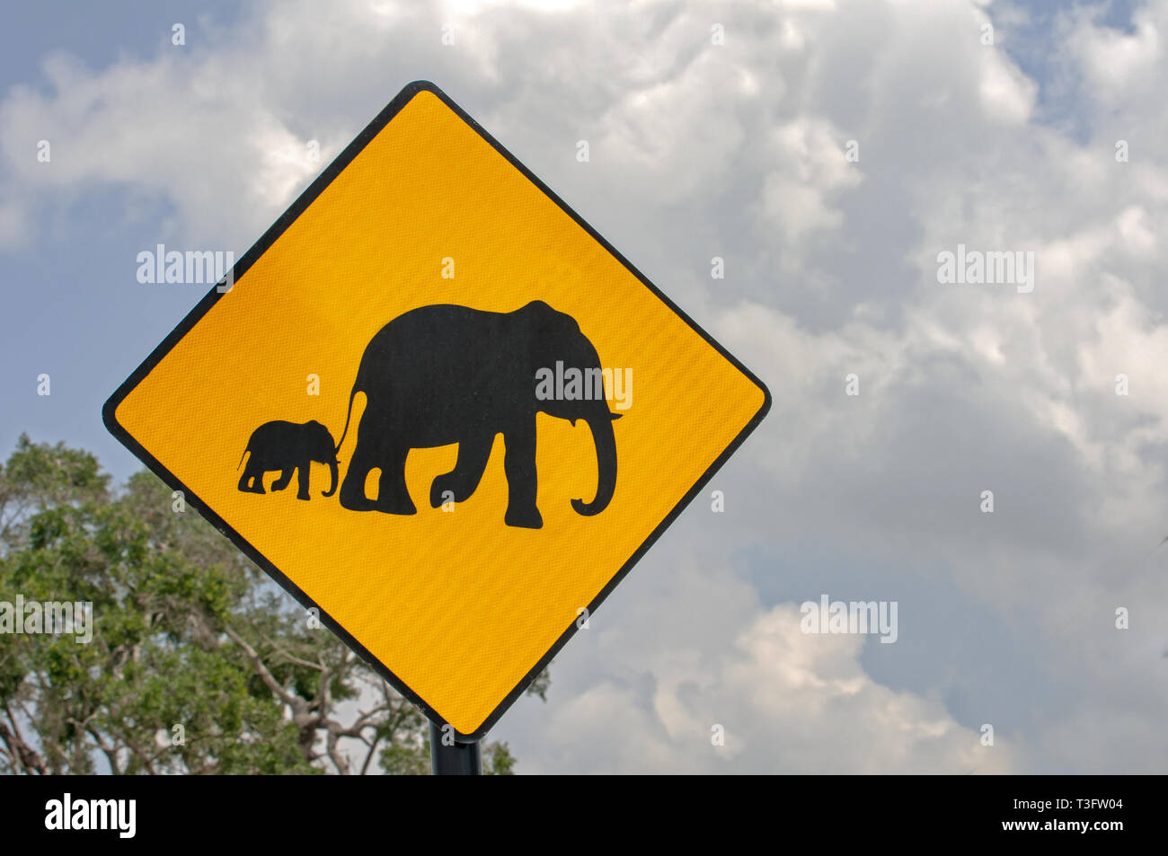 Traffic sign caution elephants hi-res stock photography and images - Alamy