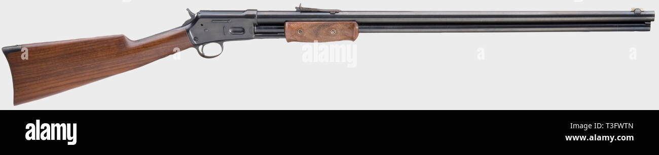 Long colt hi-res stock photography and images - Alamy