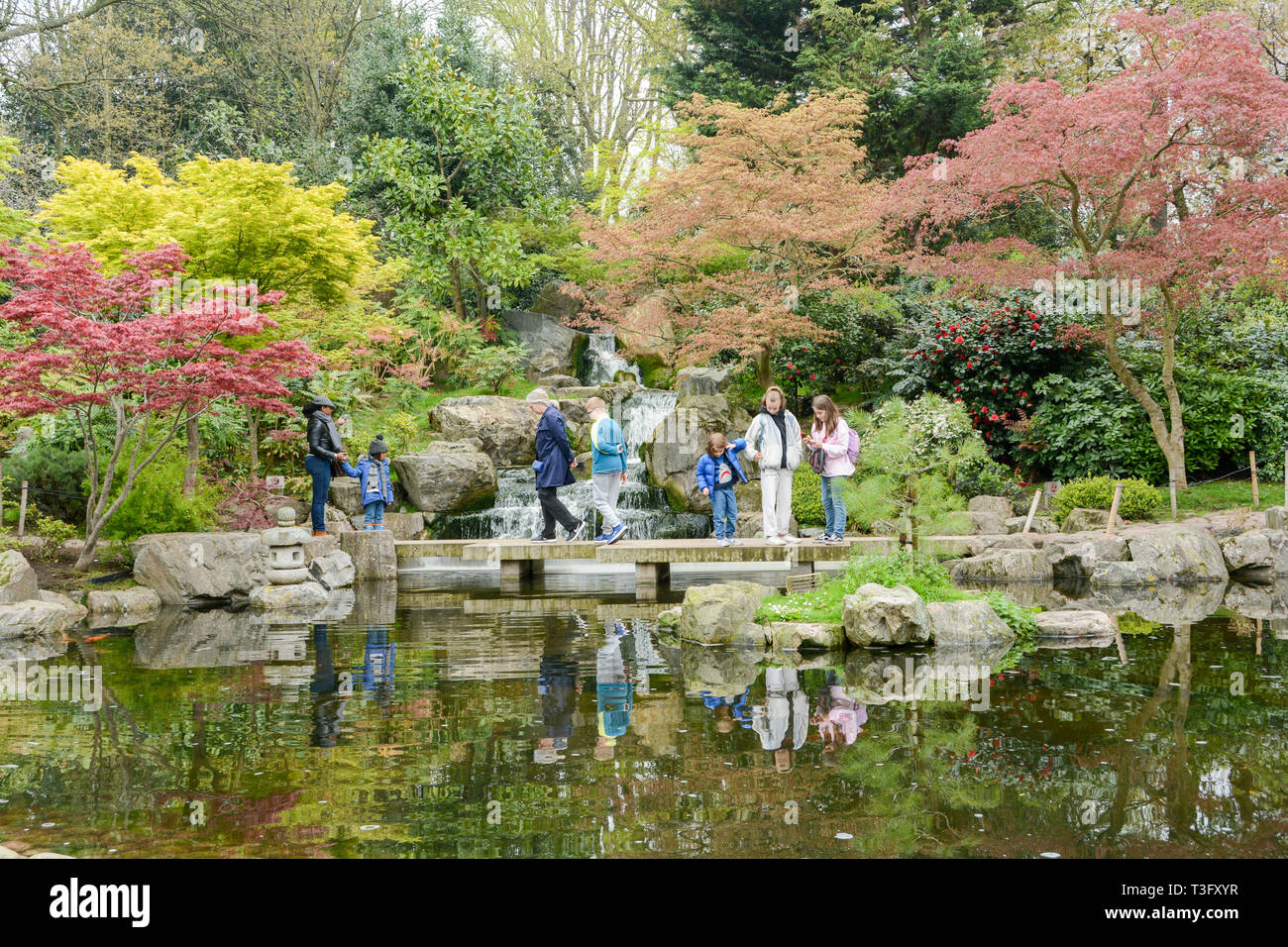 The Kyoto Japanese Garden in Holland Park, Holland Park Avenue, Kensington, London, W11, UK ...