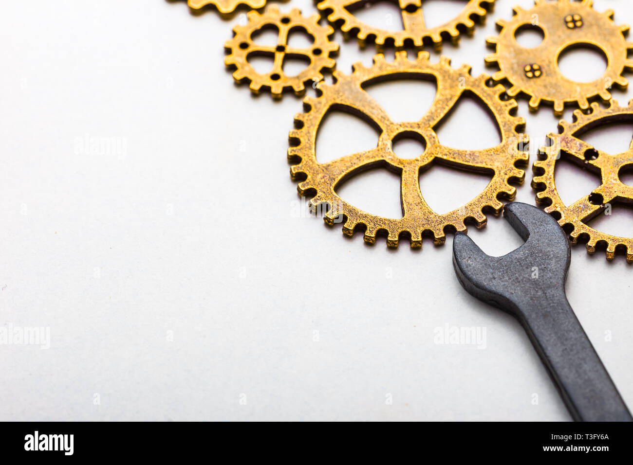 Top closeup view of gear wheel on white background with blank space for ...