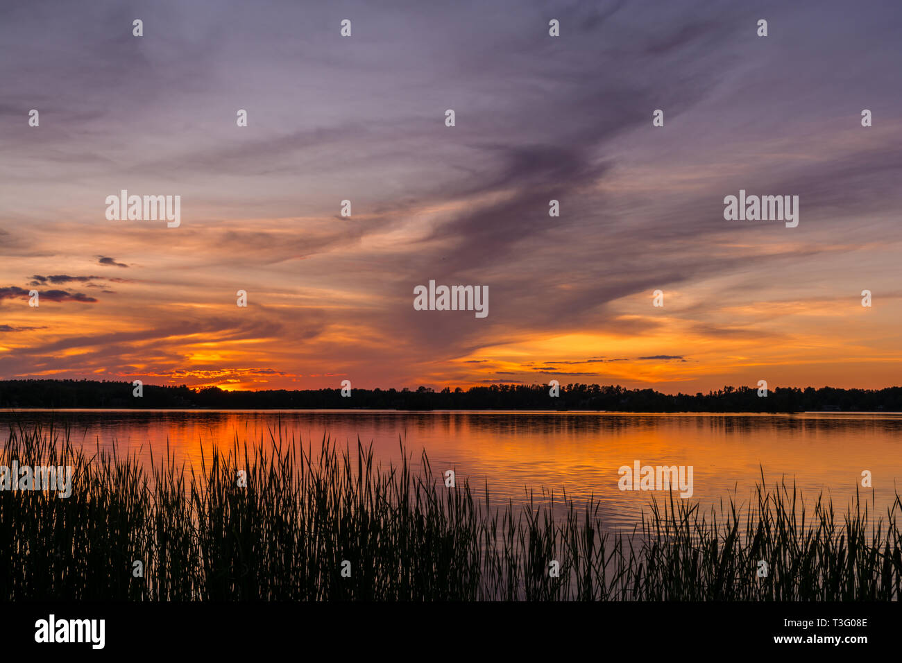 Cottage lake sunset with gorgeous pink,blue,magenta and orange sky on a ...