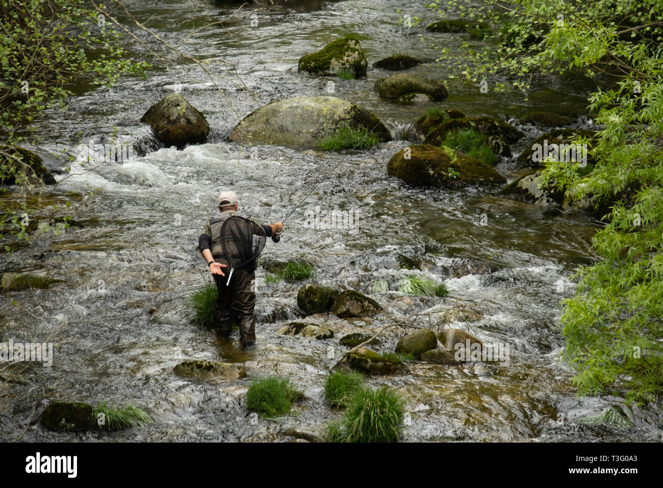 Freshwater waders hi-res stock photography and images - Alamy
