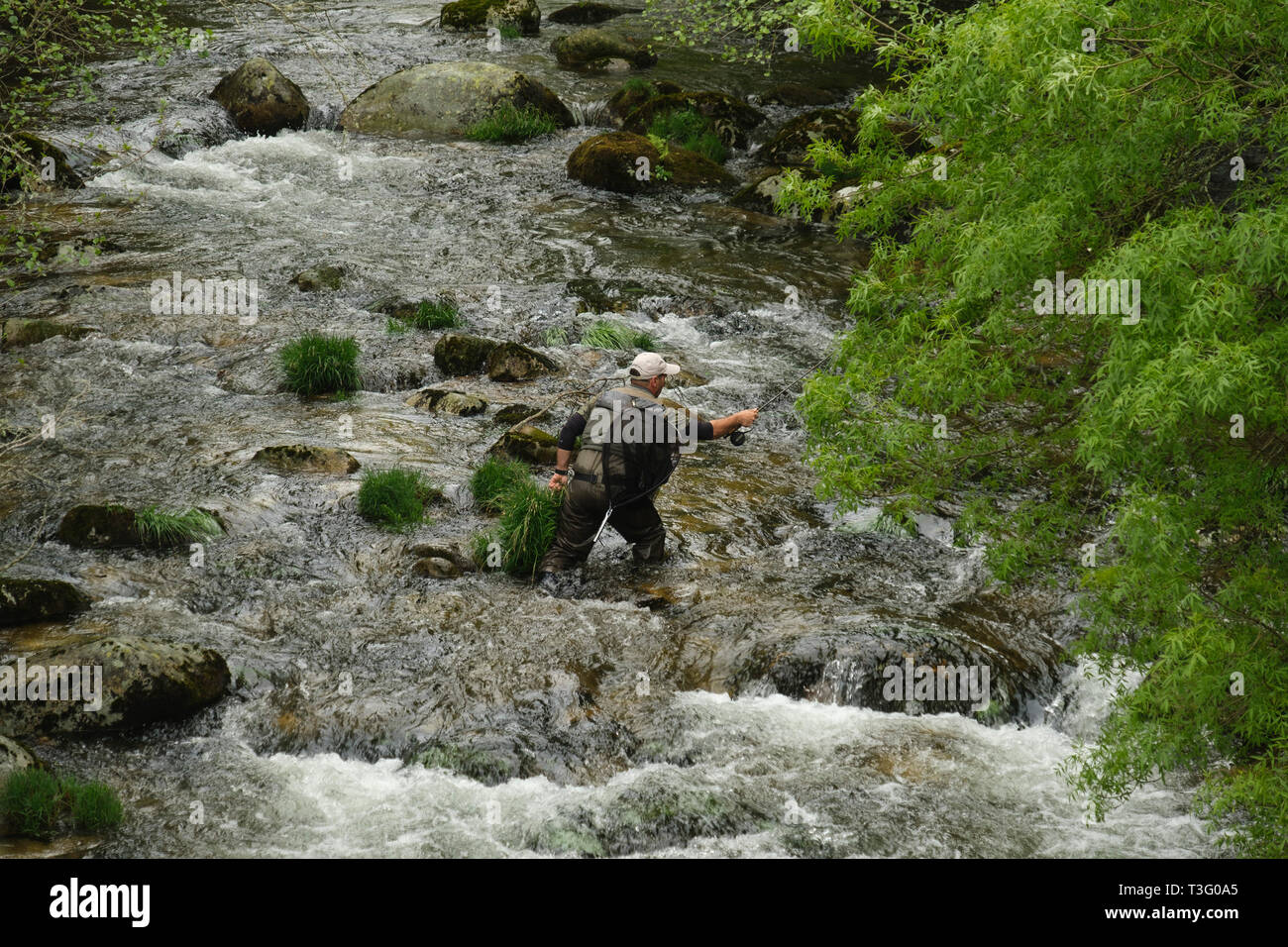 Overhead view of a fisherman wearing waders while fishing inside a ...