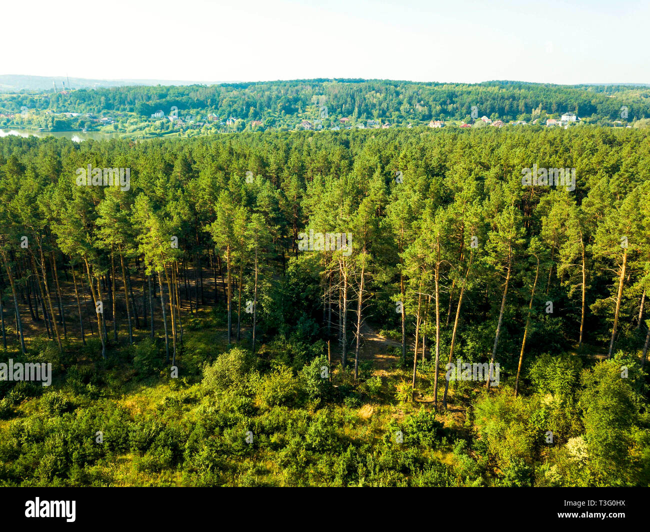 Panoramic view of the pine forest and a small village against the sky ...