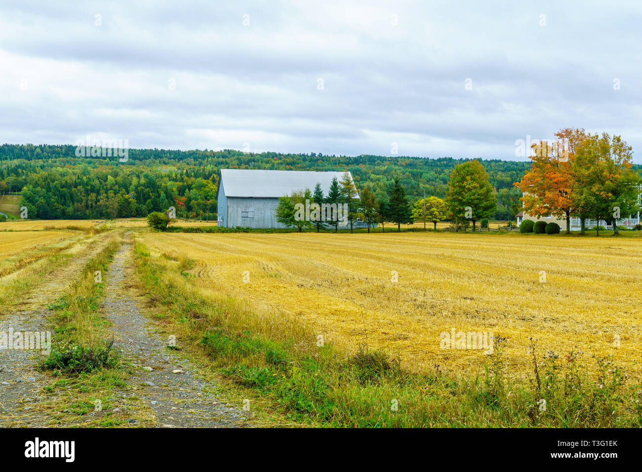 Canada quebec countryside hi-res stock photography and images - Alamy