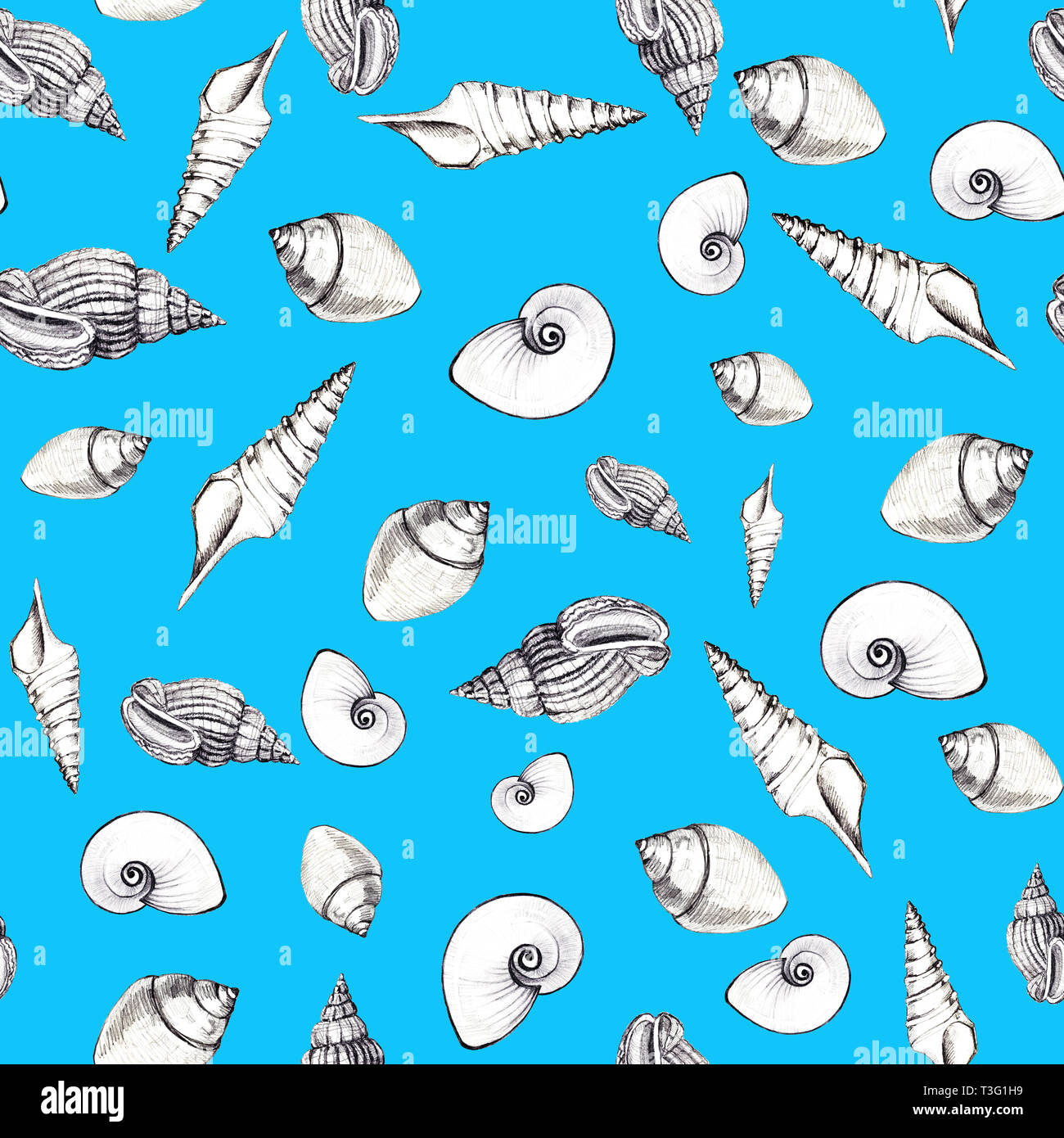 Seamless pattern of sea shells on blue background. Manual graphics ...