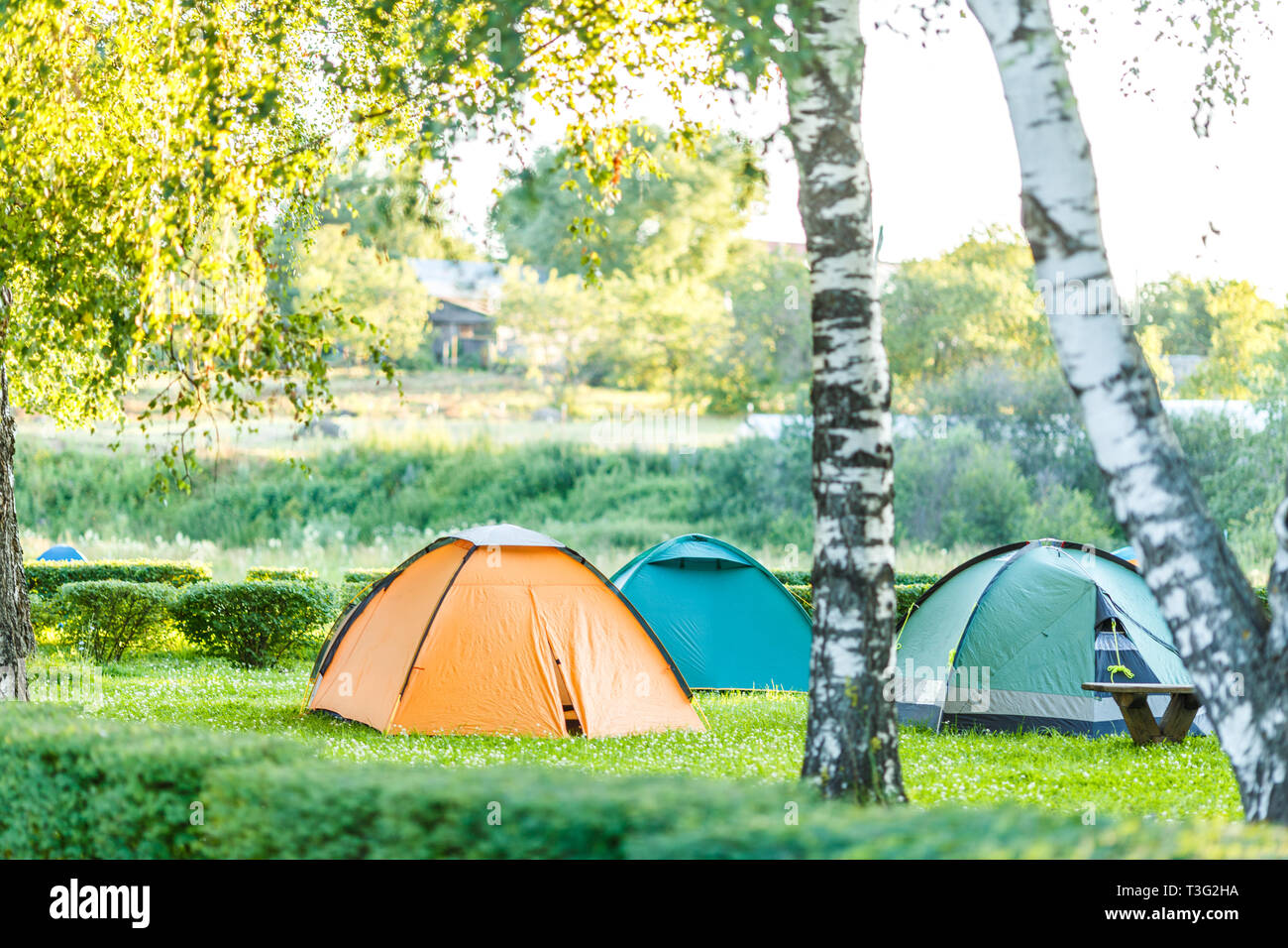 Tents Camping area in beautiful natural place Stock Photo - Alamy