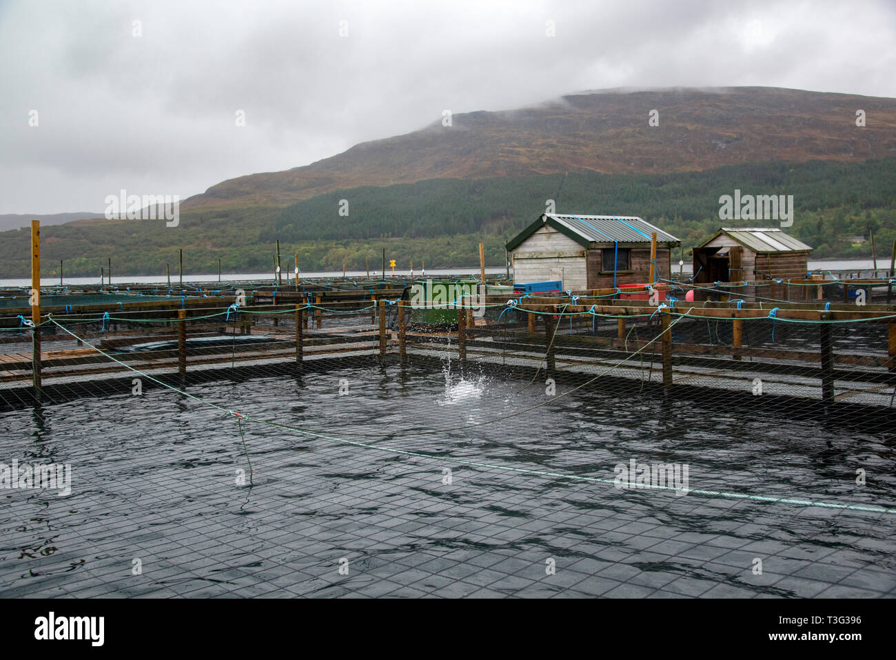 Salmon Fish farm in the Scottish Highlands, Scotland, UK Stock Photo ...