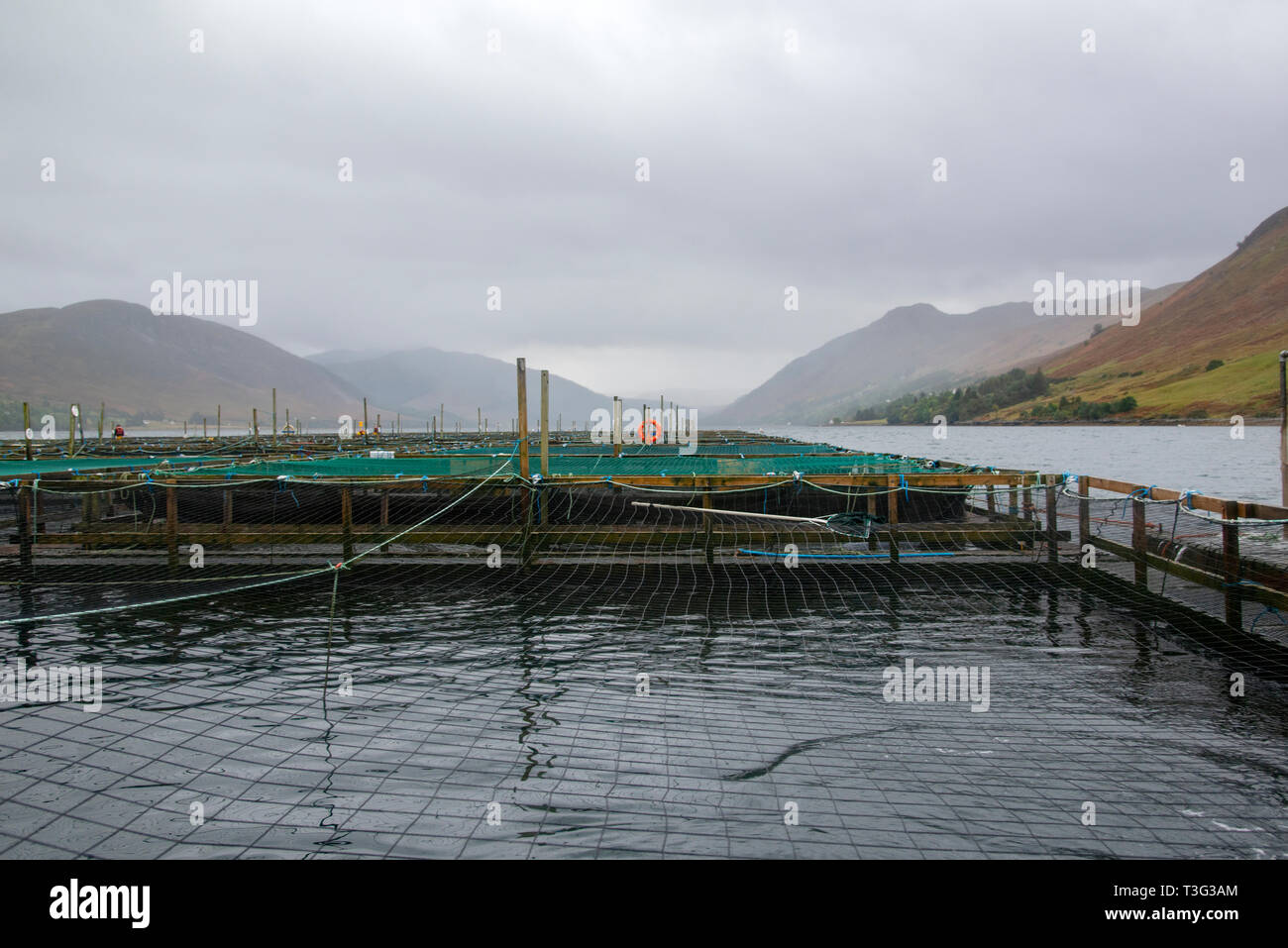 Salmon Fish Farm, Scottish Highlands, Scotland, UK Stock Photo - Alamy