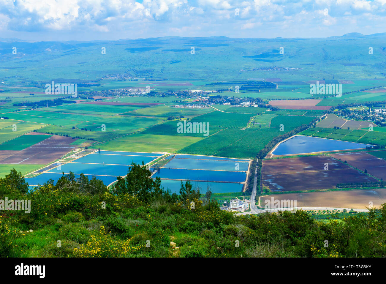 View of the Hula Valley landscape, in Northern Israel Stock Photo - Alamy