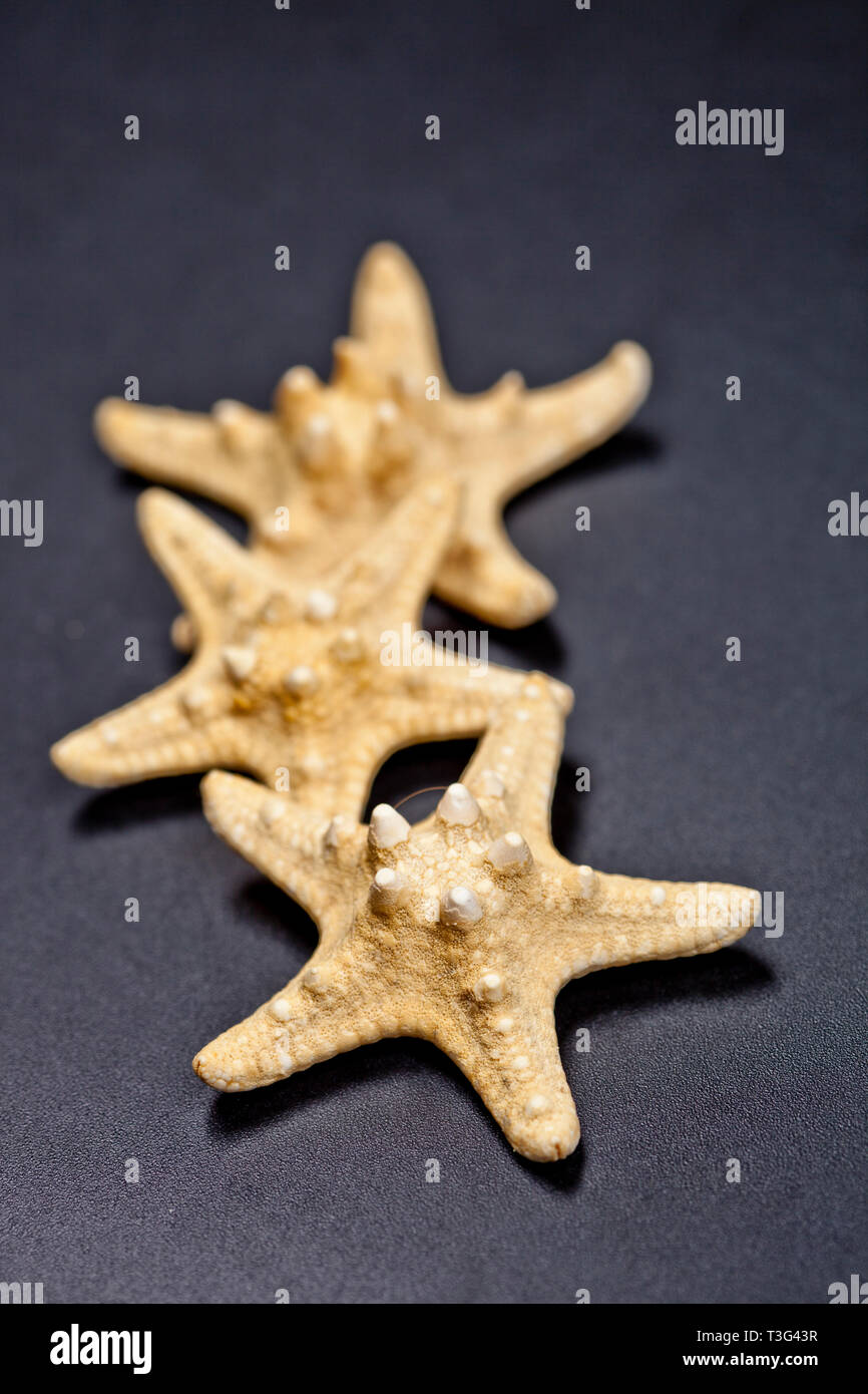Three starfish underwater hi-res stock photography and images - Alamy
