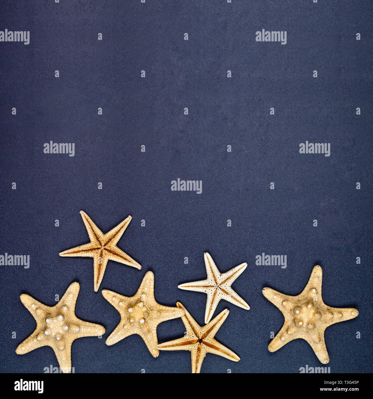 Top view of six starfish on black background. With copyspace Stock ...