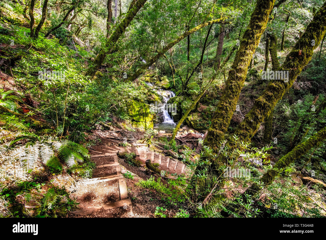 Marin municipal water district hi-res stock photography and images - Alamy