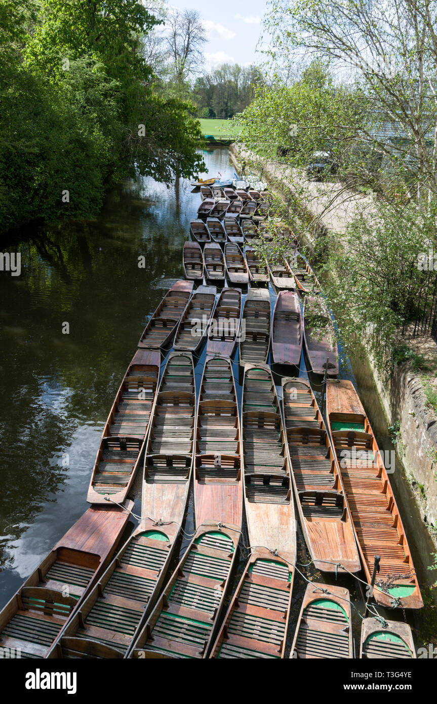 Moored punts on the River Cherwell in Oxford, Britain Stock Photo - Alamy