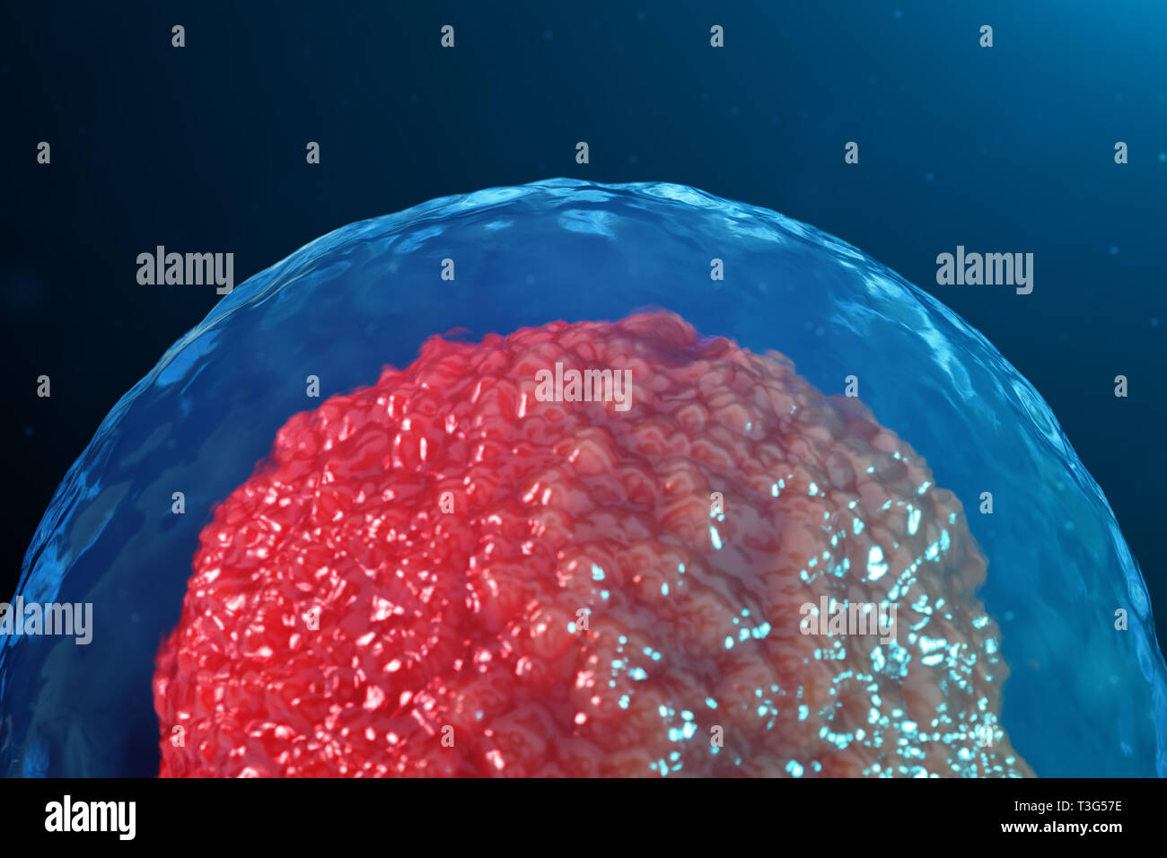 3D illustration egg cells embryo. Embryo cells with red nucleus in ...