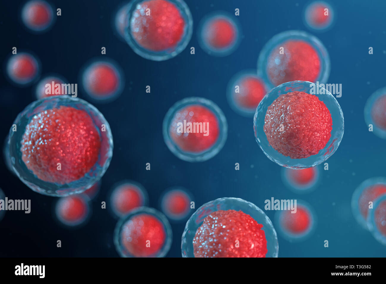 3D illustration egg cells embryo. Embryo cells with red nucleus in ...