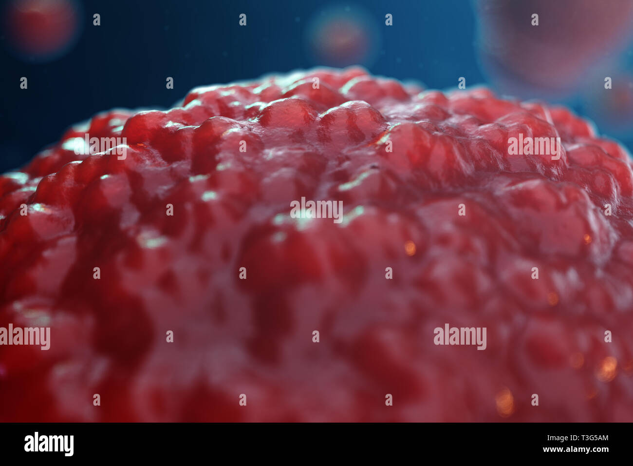 3D illustration egg cells embryo. Embryo cells with red nucleus in ...