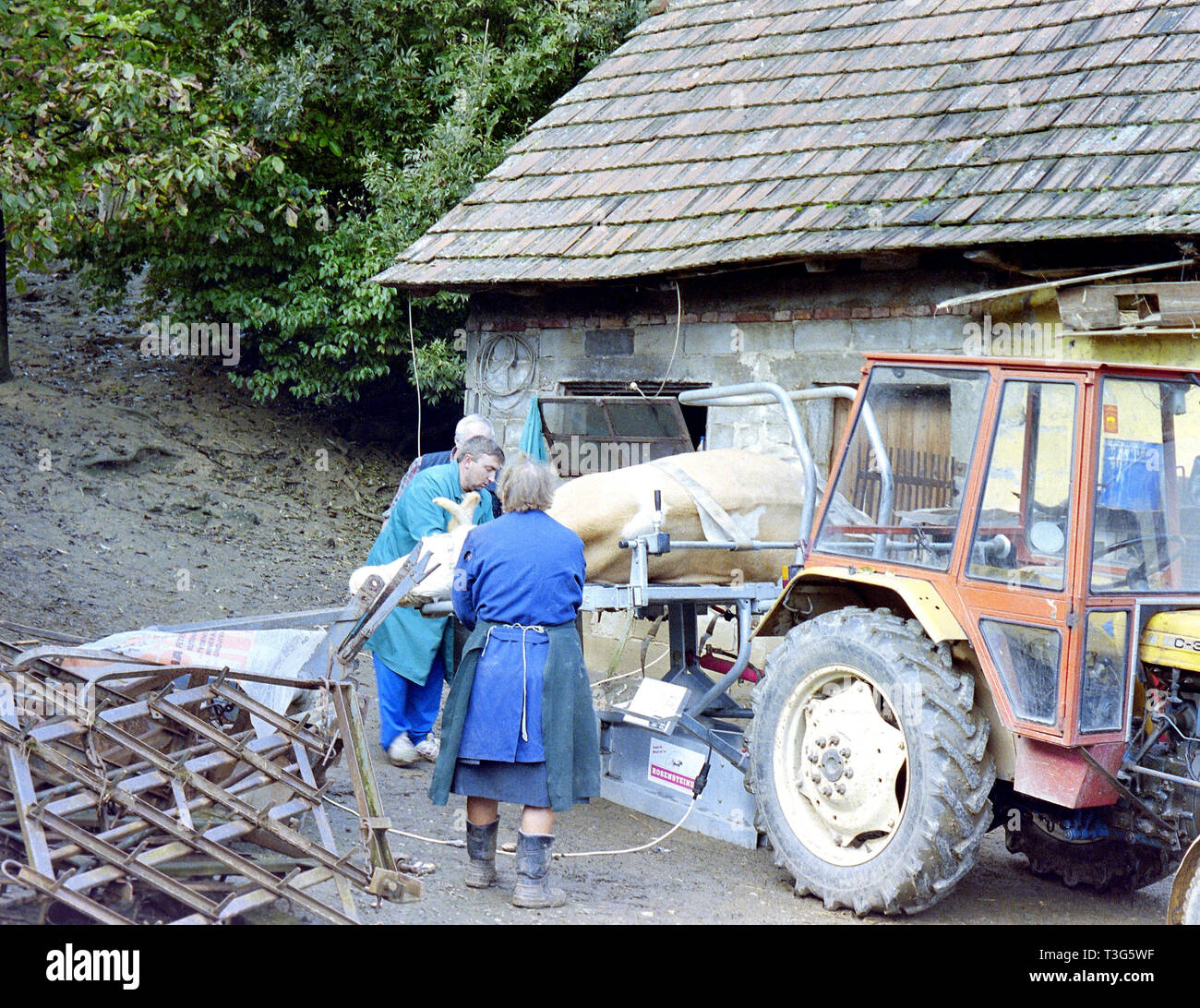 1990s croatian farm hi-res stock photography and images - Alamy
