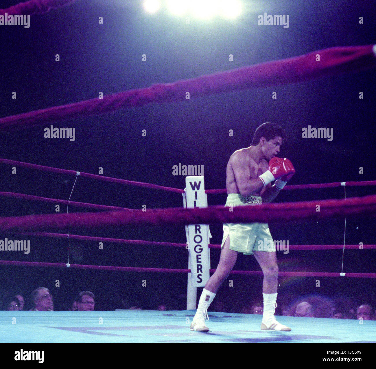 World Lightweight Champion Little Stevie Cruz in boxing match against ...