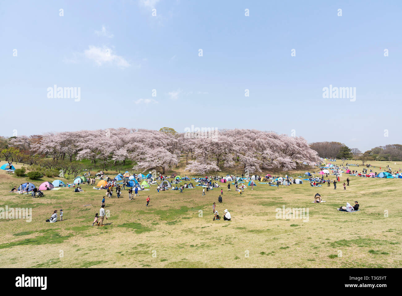 Negishi yokohama hi-res stock photography and images - Alamy