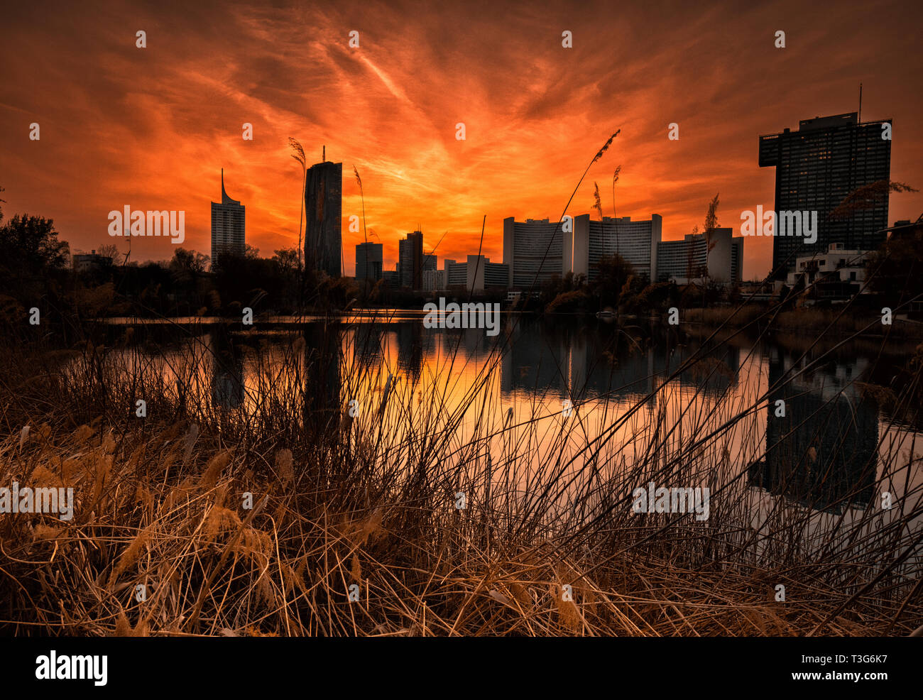 Vienna Austria Sunset on the Danube River City Skyline in austria Stock ...