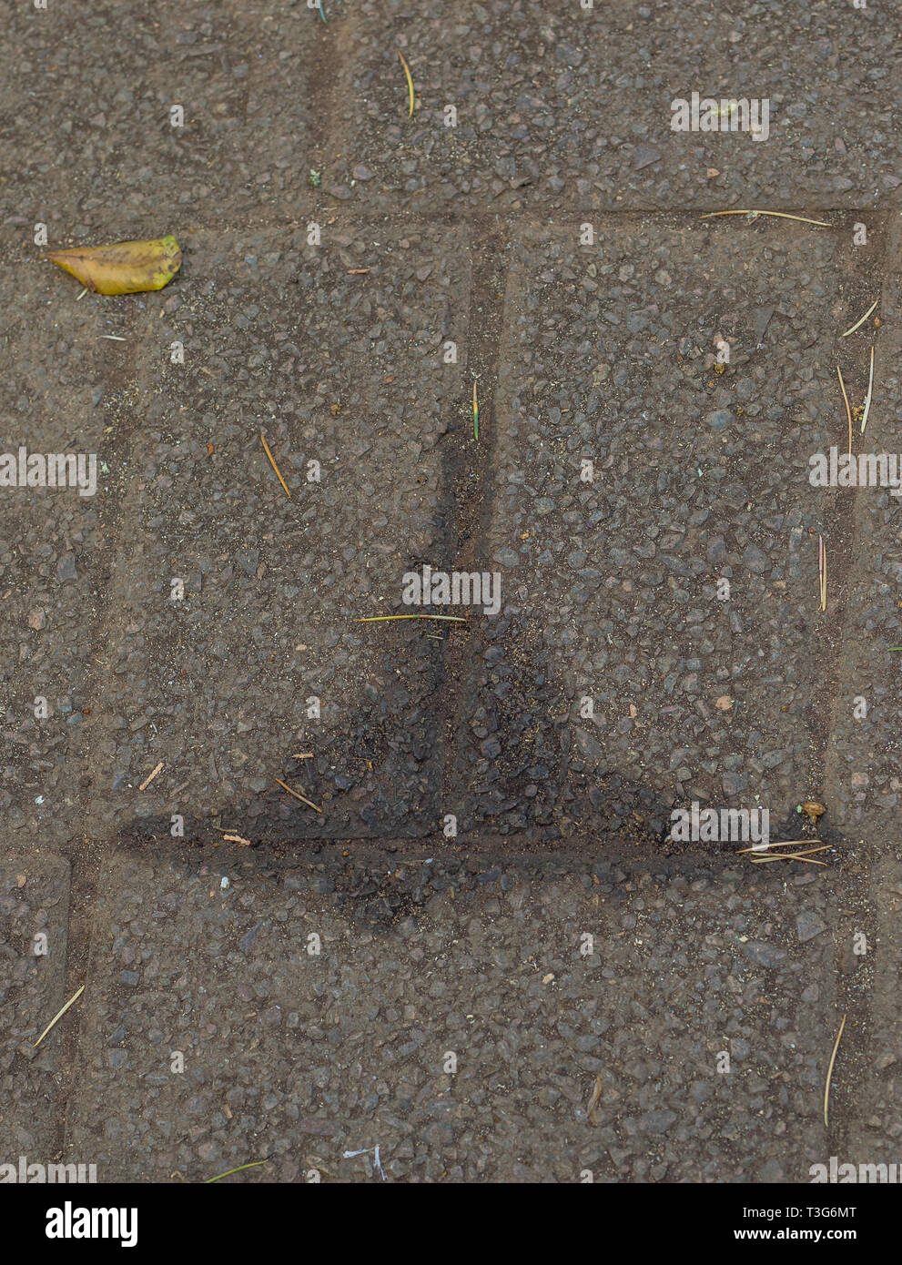 Damp places hi-res stock photography and images - Alamy