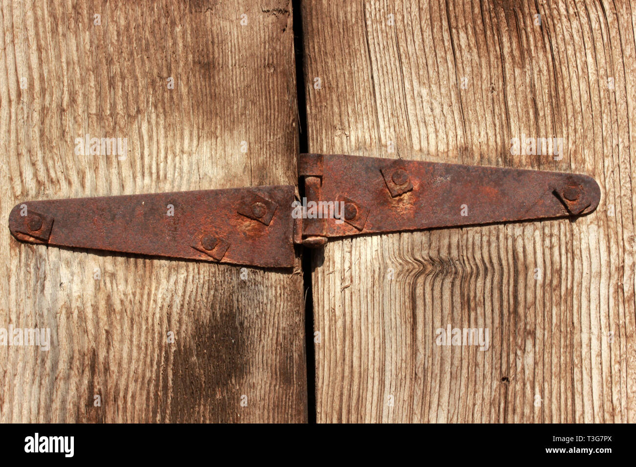 Tree hinge hi-res stock photography and images - Alamy