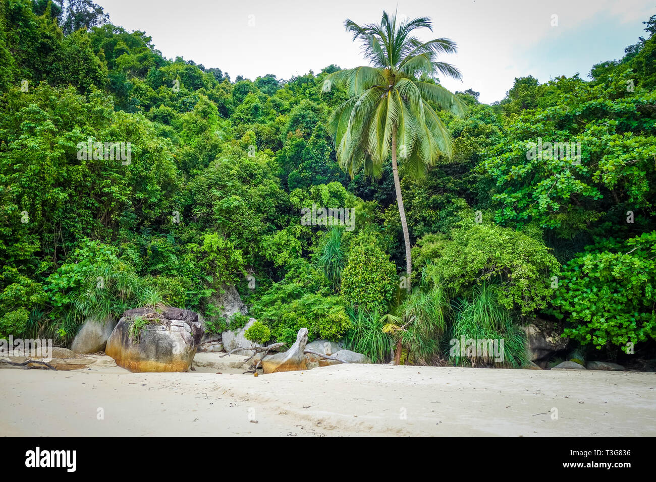 Teluk Pauh paradise beach in Perhentian Islands, Terengganu, Malaysia ...