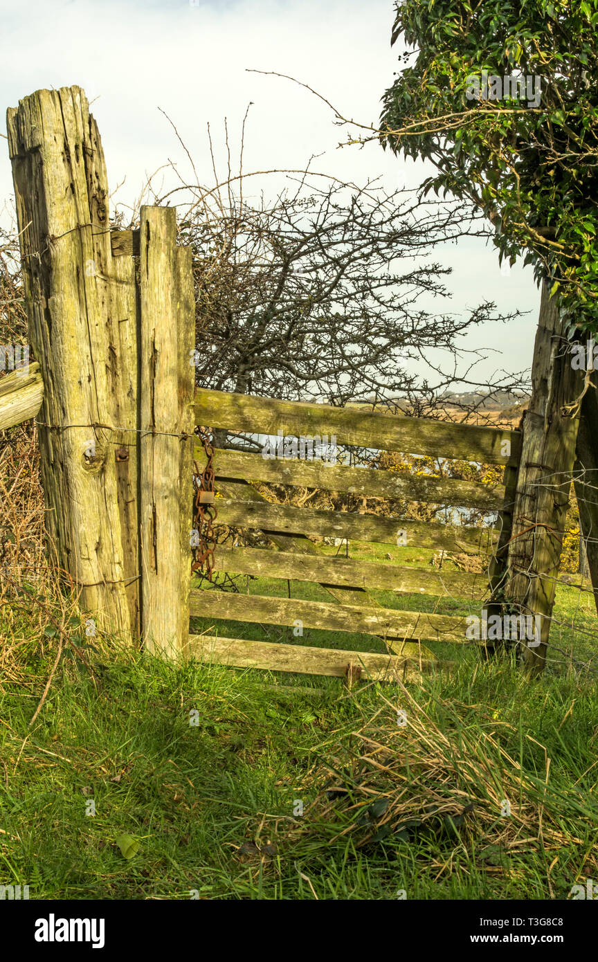 An old gate to a field at Llyn Treflesg, Anglesey Stock Photo - Alamy