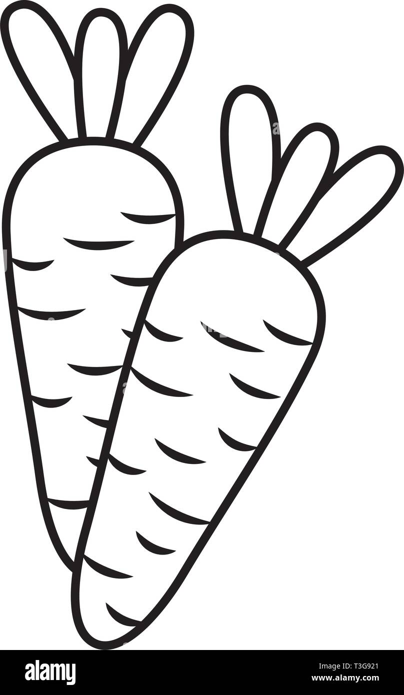 Fresh ripe raw carrots Black and White Stock Photos & Images - Alamy