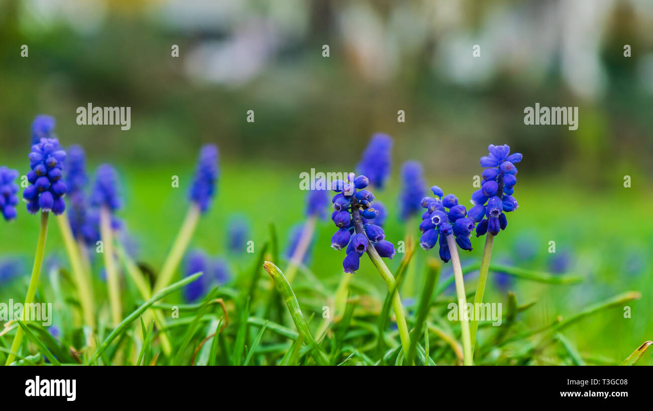 Natur outdoor hi-res stock photography and images - Alamy