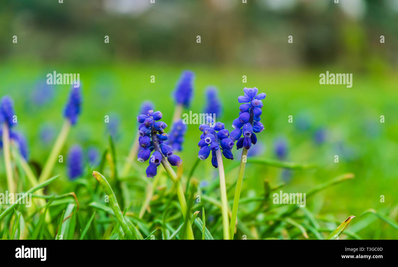 Natur outdoor hi-res stock photography and images - Alamy