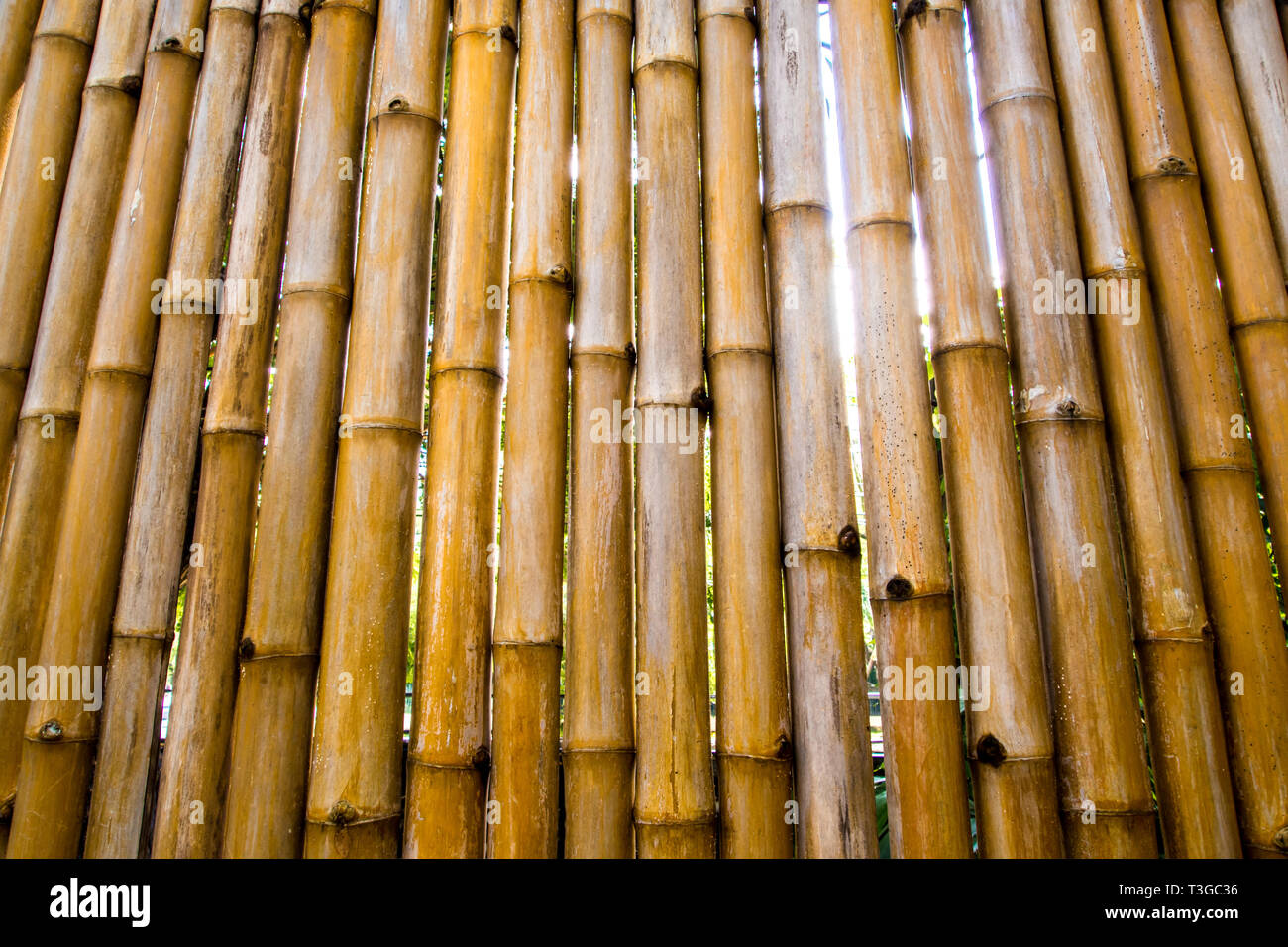 Bamboo Partition High Resolution Stock Photography and Images - Alamy