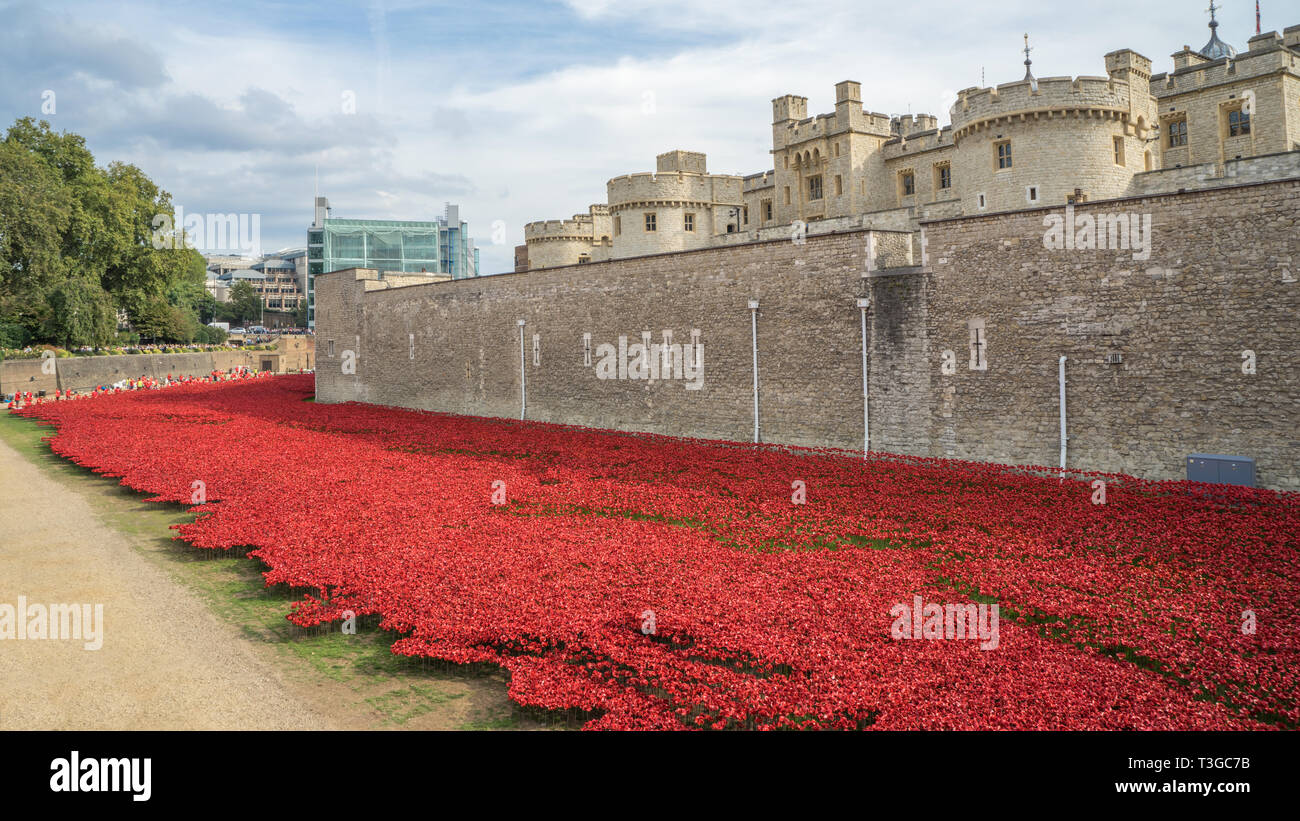 Tower of London Poppy display, Created by artists Paul Cummins and Tom ...