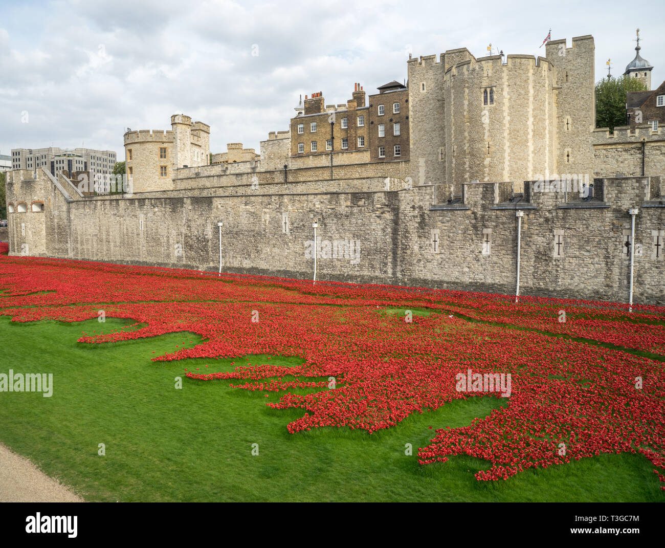 Paul cummins and tom piper hi-res stock photography and images - Alamy